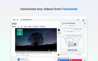 Video Downloader professional para Google Chrome - Extensión Descargar