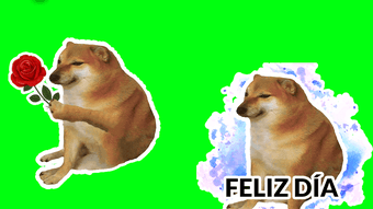 Stickers de Cheems doge para Android - Descargar