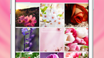 Flower Wallpapers and Backgrou APK for Android - Download
