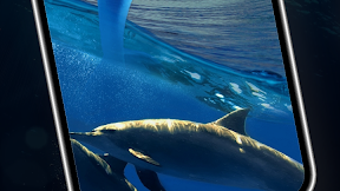 4D Wallpaper-HD live Wallpaper APK for Android - Download