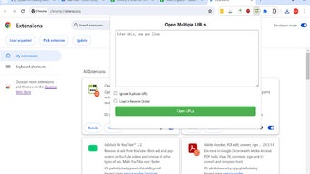 Open Multiple URLs for Google Chrome - Extension Download
