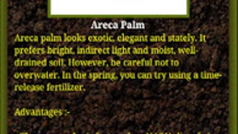 Indoor Plants na Android - Download