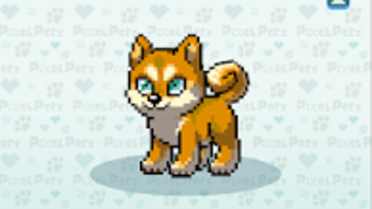 Pixel Petz APK for Android - Download