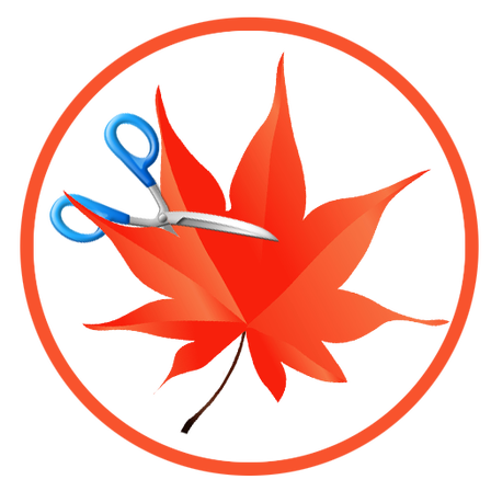 Brother iPrint&Scan para Mac - Descargar