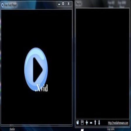 XviD Codec - Download