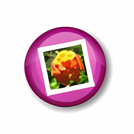 Samsung Gallery - Download