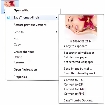 PSD Codec - Download