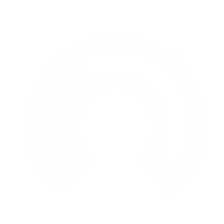 LAN Speed Test - Download