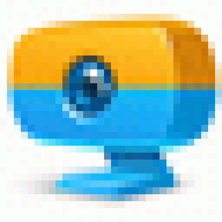 Active WebCam - Download