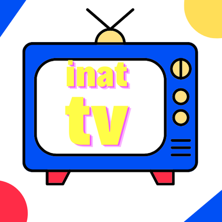 Inat Box V2.0 Indir Tv Clue APK for Android - Download