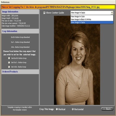DV Capture - Download
