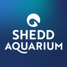 Shedd Go for Android - Download