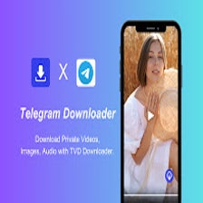 Telegram Video Downloader - TVD Downloader para Google Chrome ...