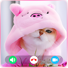Cat Fake Video Call : Fake Call Video Cat Game para Android - Descargar