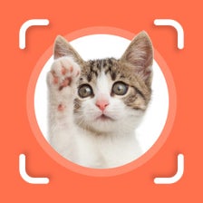 iPhone 용 Cat Identifier - Cat Scanner - 다운로드