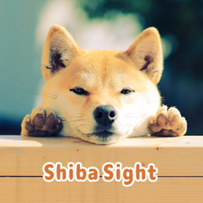Shiba Sight Theme per Android - Download