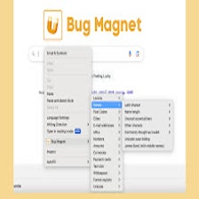 Bug Magnet for Google Chrome - Extension Download