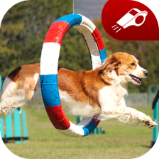 Puppy Training: Perfect Dog Tr para Android - Download