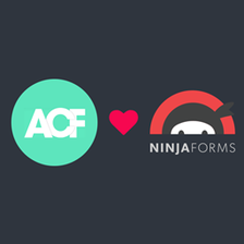 Advanced Custom Fields: Ninjaforms Add-on for WordPress - Download