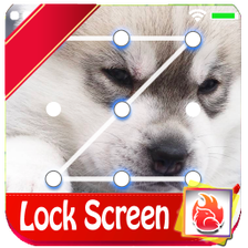 Husky Puppy HD Free Lockscreen PIN PATTERN 2019 per Android - Download