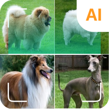Dog breed identifier for Android - Download