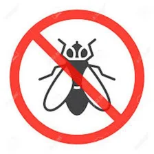 Pest Control para Android - Descargar