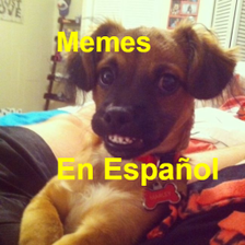 Memes en español APK para Android - Download