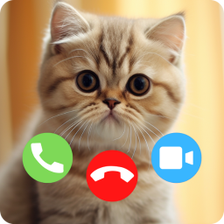 Cat Fake Video Call Prank Game para Android - Descargar