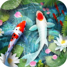 Lively Koi Fish 3D Theme for Android - Download