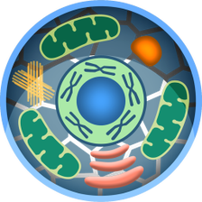 Android 용 Cell World - 다운로드