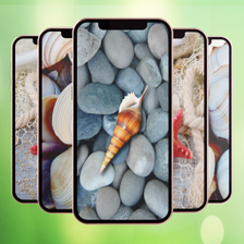 Android 용 Seashell Wallpaper Aesthetic - 다운로드