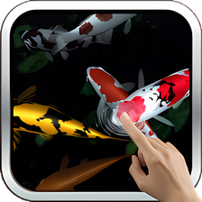 Magic touch: Koi Fish APK for Android - Download