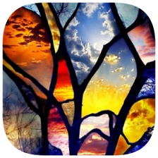 125 Photo Crosswords para Android - Descargar