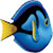 DORy for Google Chrome - Extension Download