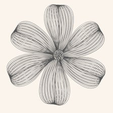 Amina Taha Method pour iPhone - Télécharger