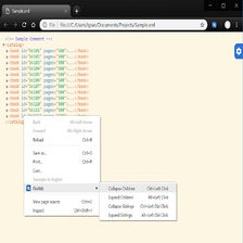 FleXML for Google Chrome - Extension Download