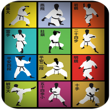 Shotokan Karate Katas APK per Android - Download