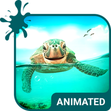 Cute Turtle Wallpaper Theme APK per Android - Download