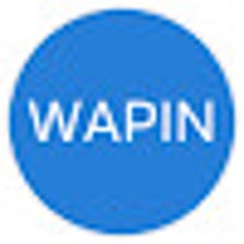 WAPIN Google Chrome 용 - 확장 프로그램 다운로드
