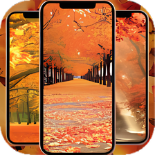 Fall Wallpaper 4K for Android - Download