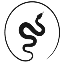 Snake Money- Play online game for Android - Download