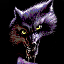 Werewolf 3D Simulator Stress R for Android - Download