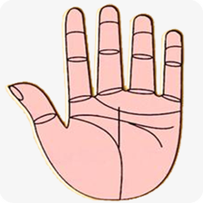 Hasta Rekha Shastra हस्त रेखा शास्त्र APK สำหรับ Android - ดาวน์โหลด