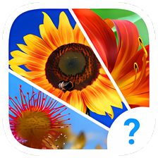 4 clues: word search game for Android - Download