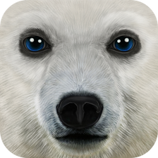 Ultimate Cat Simulator for Android - Download