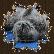 Android 용 Living Puzzles APK - 다운로드