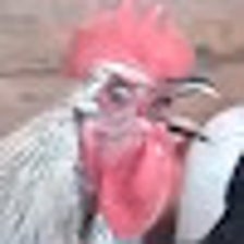 Death Metal Rooster for Google Chrome - Extension Download