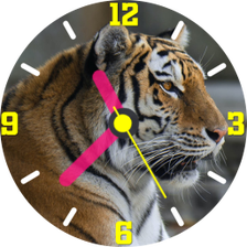 Tigers Clock Live Wallpapers for Android - Download