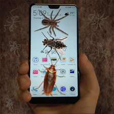 Fake bed bug prank on screen APK per Android - Download