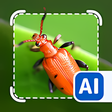 Picture insect: Bug identifier para Android - Descargar